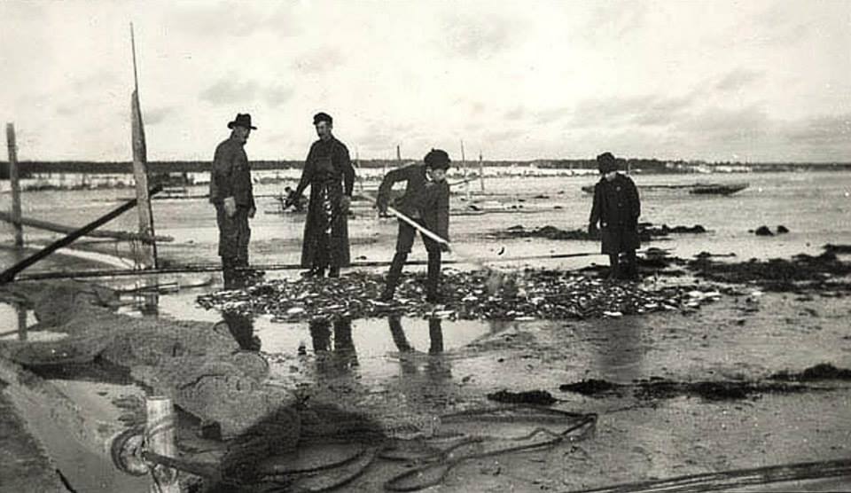 Family, food and a feed of Smelts. – My Mother's Cookbooks