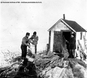 Poutine Râpée – Feast Food – My Mother's Cookbooks